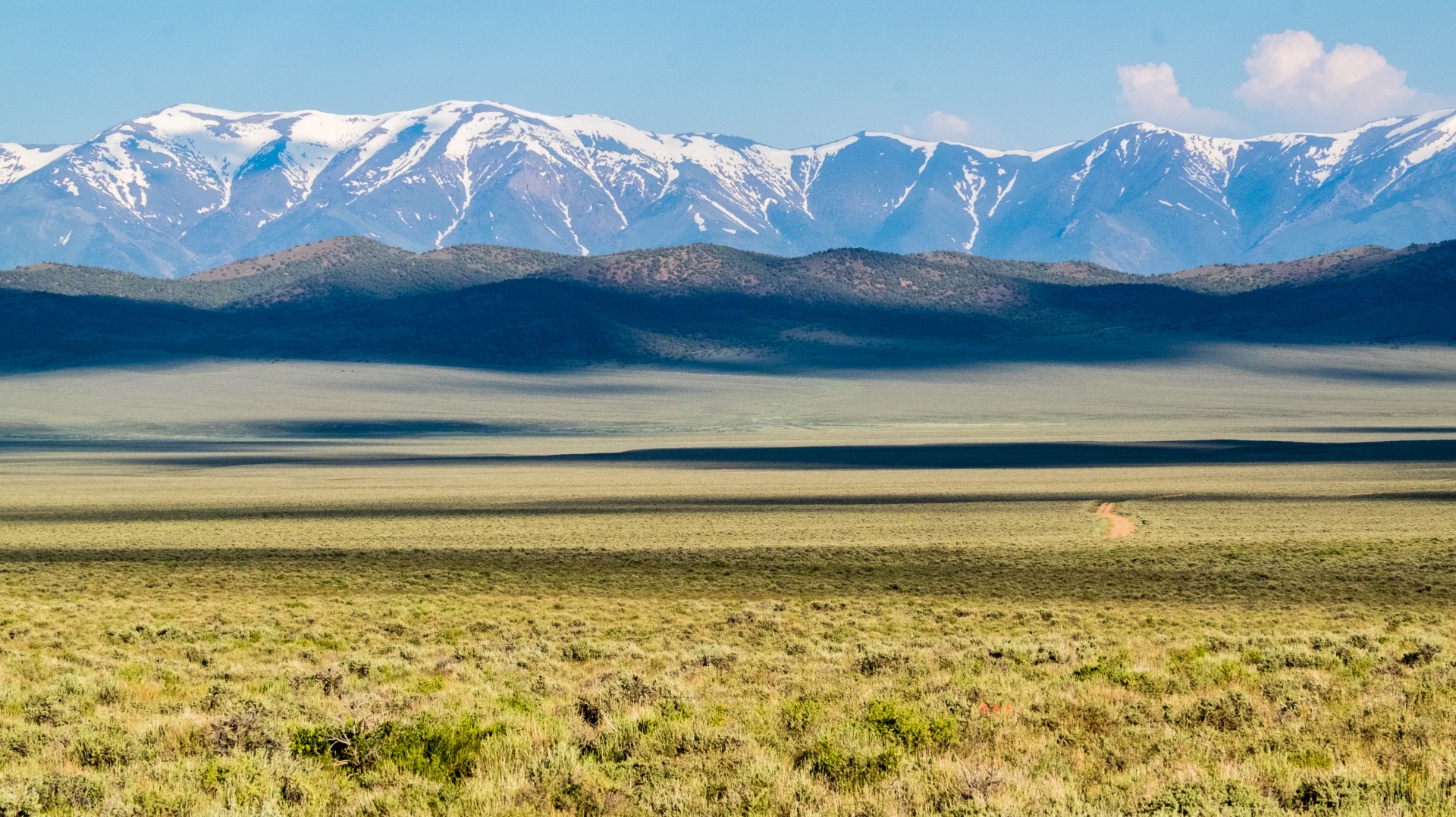 A terrible dilemma faces the Great Basin - Writers On The Range